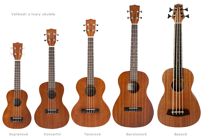 Druhy ukulele :: Ukulele pro začátečníky